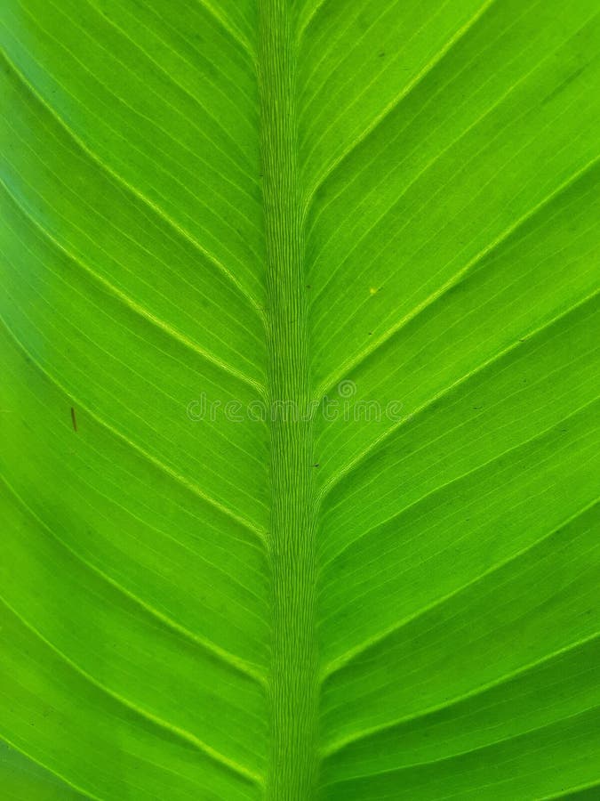 Texture from Surrounding Environment Stock Photo - Image of signature ...