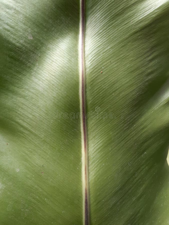 Texture from Surrounding Environment Stock Photo - Image of streak ...