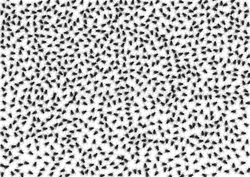 Swarm of fly stock illustration. Illustration of white - 30262835