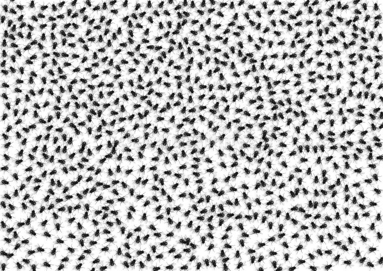 Swarm of fly stock illustration. Illustration of animals - 30262835