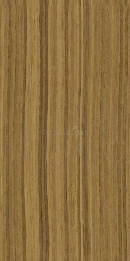 Texture Teak Tree 4K High Quality Stock Photo - Image of engineer ...