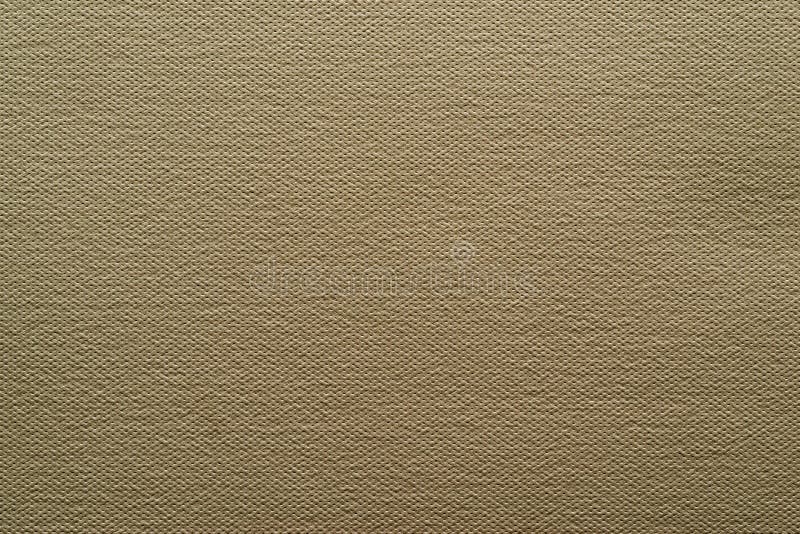 Texture Tela Salpicada Ou O Material De Papel Do Sepia Da Cor Foto de ...