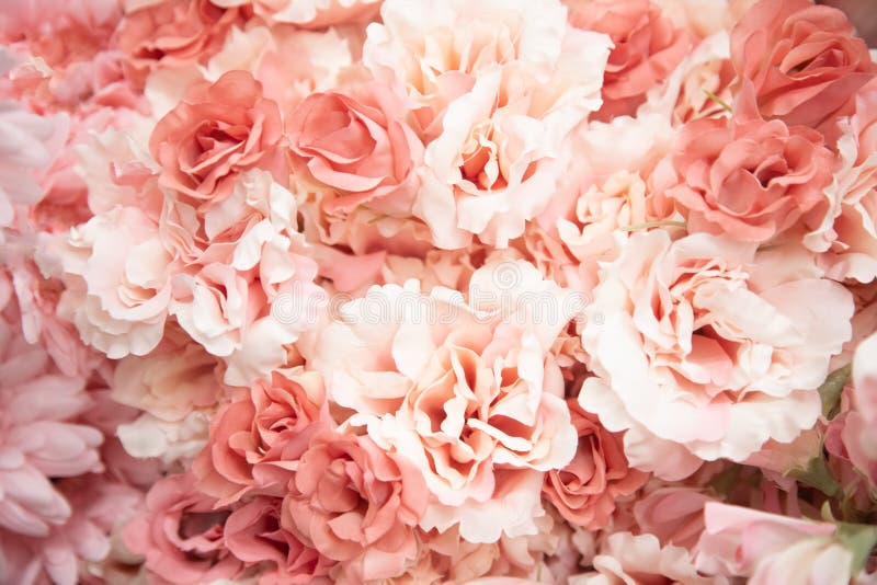 Texture of Tender Pink Flowers, Spring Concept. Close-up Stock Image ...