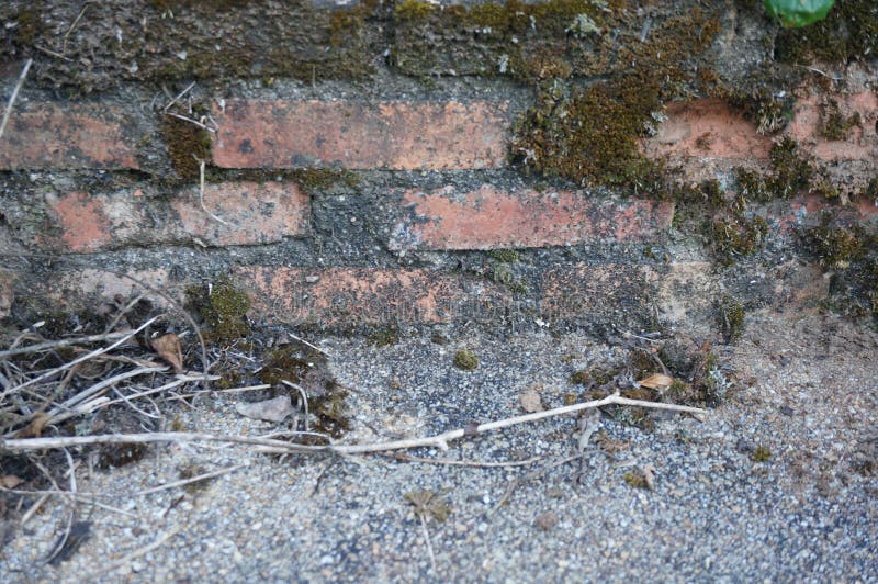 Texture of Texture of Lichen on Brick Stock Image - Image of ...