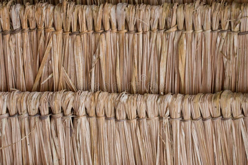 Texture of thatch roof stock image. Image of architecture - 30661297