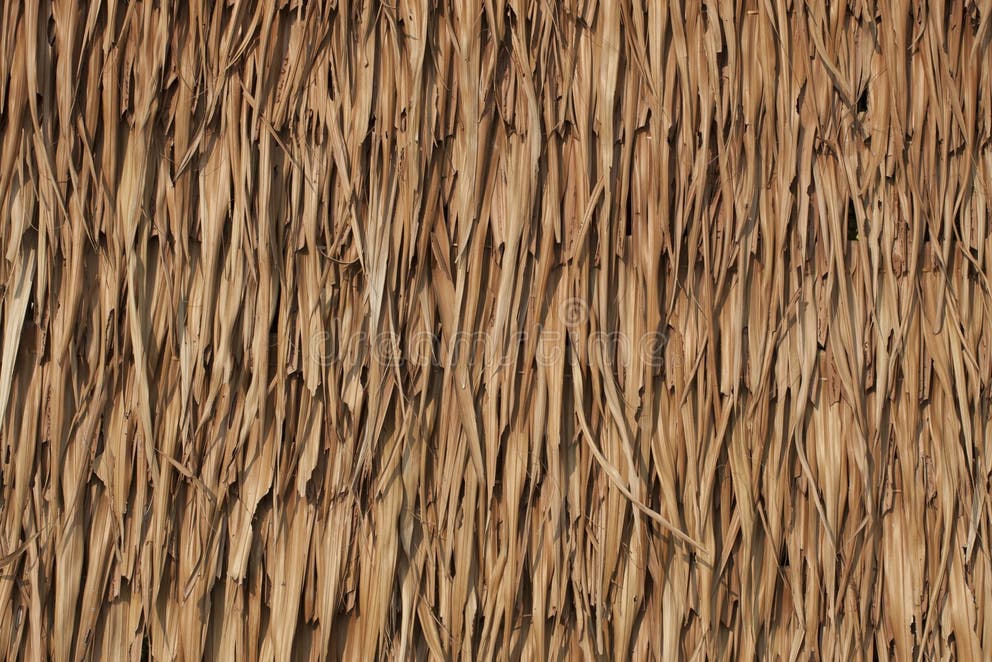 Texture of thatch roof stock image. Image of thatched - 36573499
