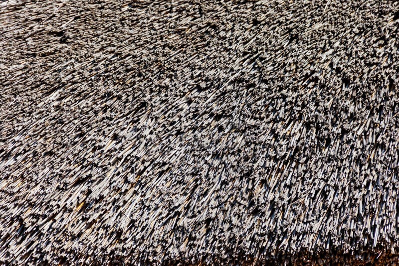 689 Cane Roof Texture Stock Photos - Free & Royalty-Free Stock Photos ...