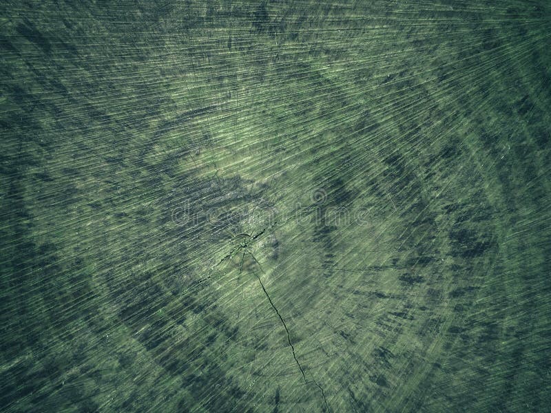 Crack Wood Texture. Tree Stump Green. Stock Photo - Image of wood ...