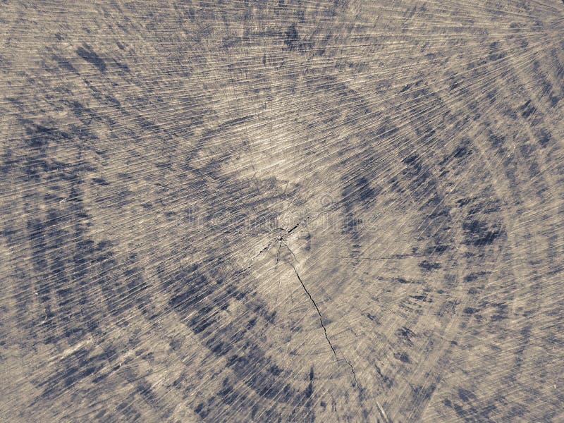 Retro Tree Trunk Texture or Background Stock Photo - Image of rings ...