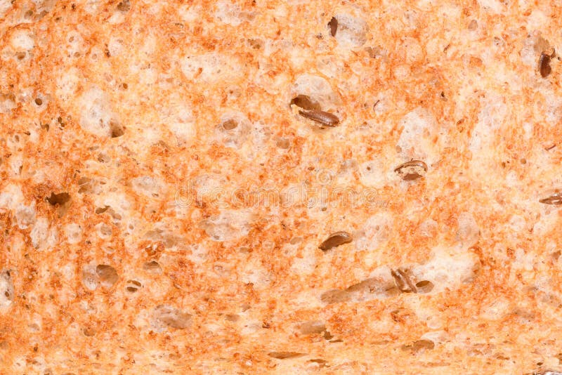 The Texture of Toasted Bread with Flax Seeds. Studio Close-up Shooting ...