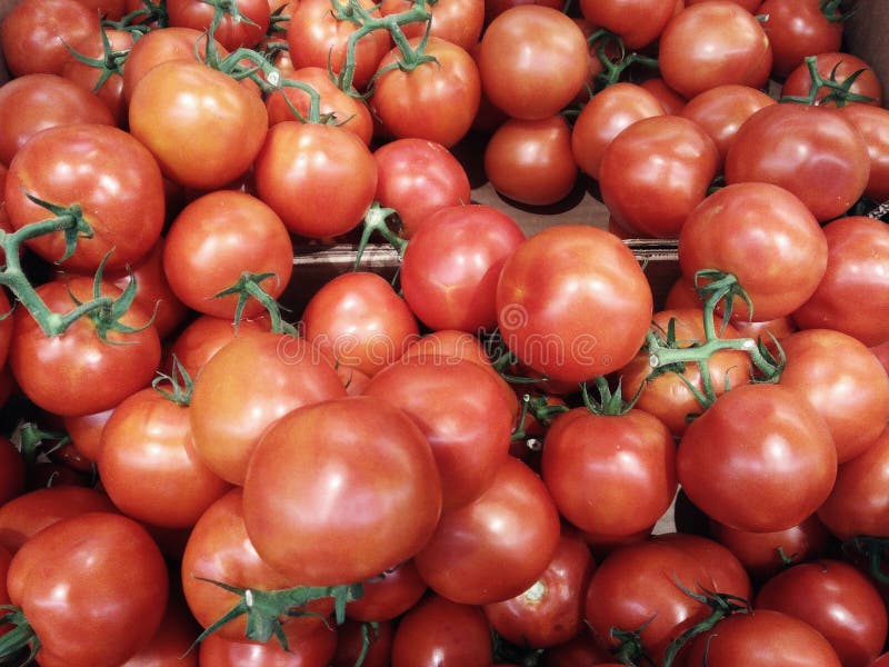 Texture of Tomatoes Outdoors Stock Image - Image of juicy, pattern ...