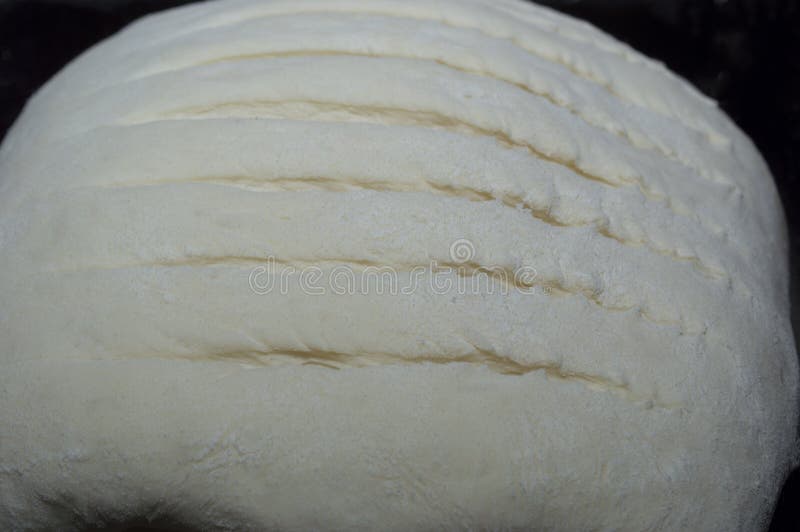Texture of the Top Layer of Freshly Mixed Dough Prepared for Baking in ...