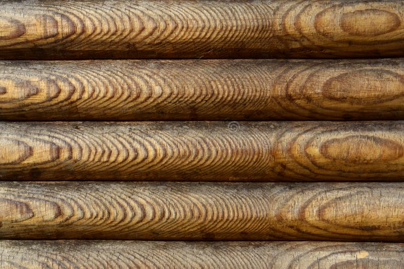 The Texture of the Treated Material from Wood Using the Technology of ...