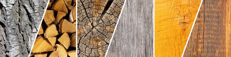 Wood for Countertops and Tables. Design Materials, Stylish Details for ...