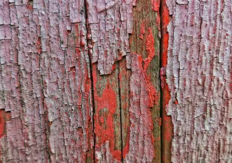Texture Tree Bark Texture for Graphic Design. Stock Photo - Image of ...