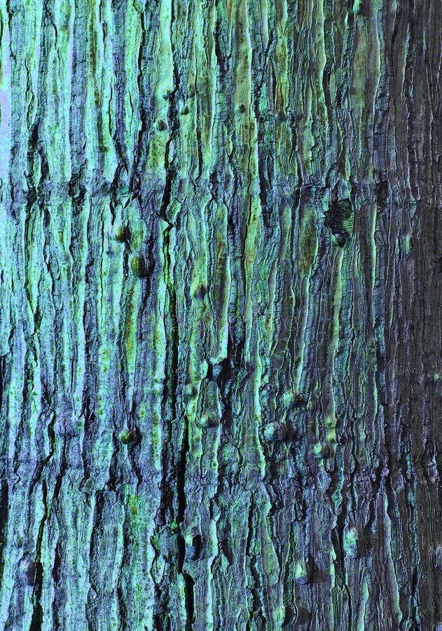 Magic Fantasy Green and Blue Tree Bark Texture Abstract Background ...