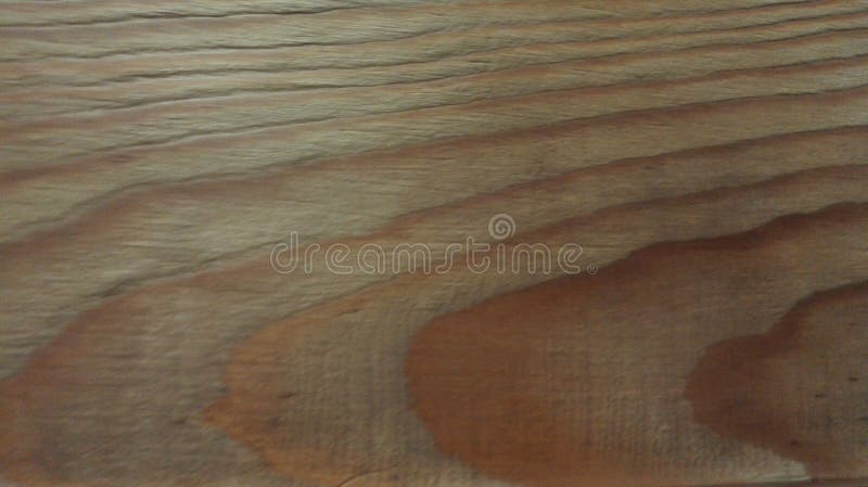 Texture of a Tree Beige with Brown Stock Photo - Image of beige ...