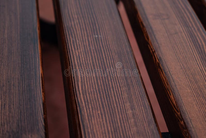 Texture Tree Bench Brown Color Round Shape Stock Image - Image of ...