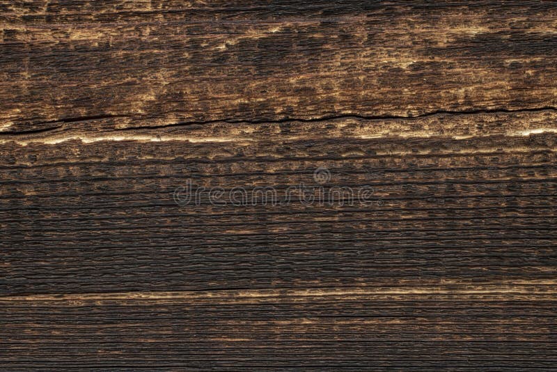 Texture of a Tree Burnt Out from the Sun Stock Image - Image of timber ...