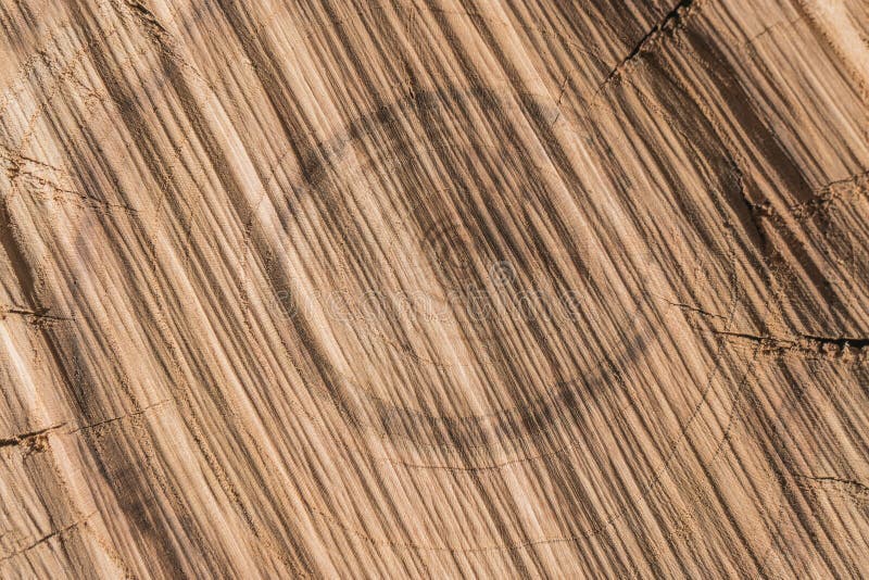 The texture of a tree cut stock image. Image of material - 102586657