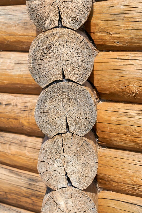 The Texture of the Tree on the Cut of a Log Stock Image - Image of ...