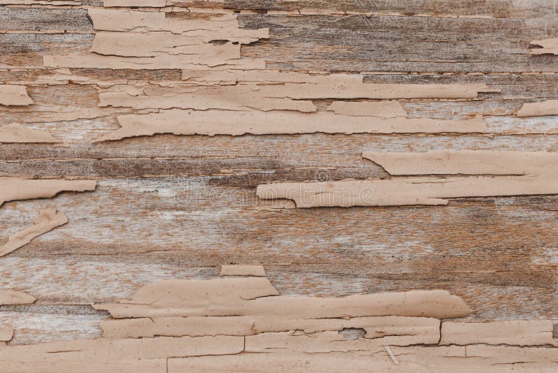 Texture. Tree Painted in Paint. Over Time, the Paint Peeled Off Stock ...