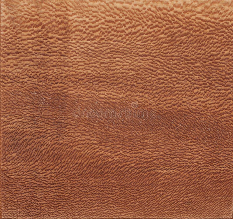 Texture of the Tree on the Saw Cut. Ginger Colour Stock Photo - Image ...