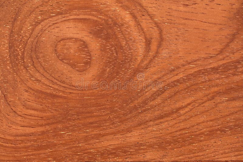 Texture of tropical wood stock image. Image of dirty - 14055999