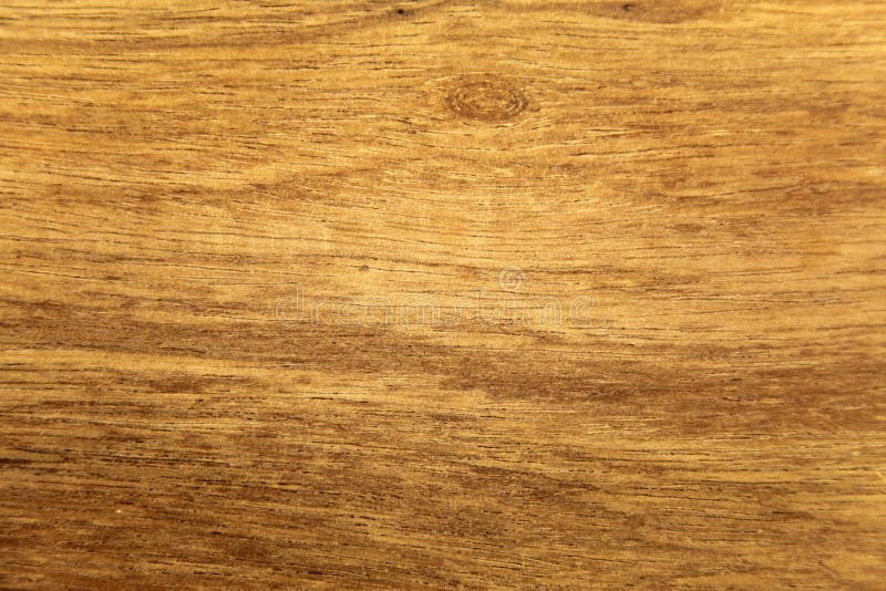 Texture of tropical wood stock image. Image of panelling - 14182517