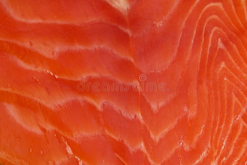 Texture of Trout Fillets. Macro Shooting Stock Image - Image of close ...