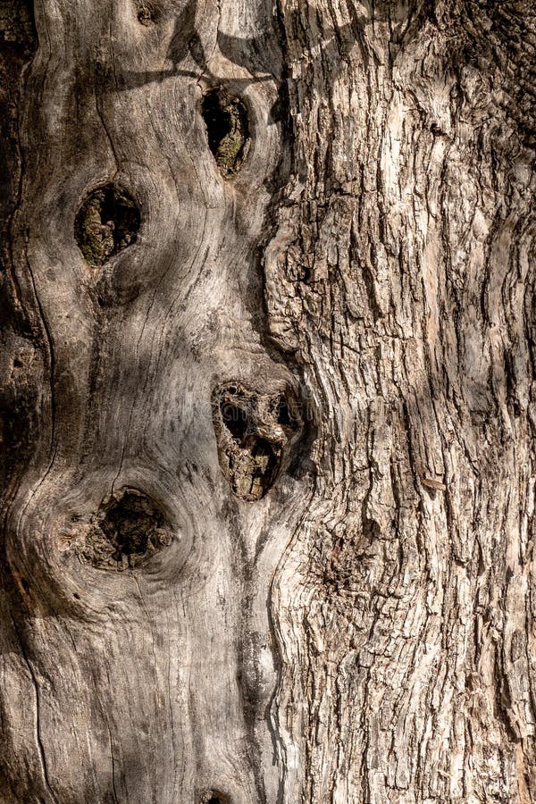 Sinuous Grooves Stock Photos - Free & Royalty-Free Stock Photos from ...