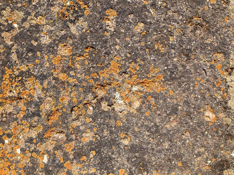 Texture Tuff Stone, Armenian Tuff Stock Image - Image of brick ...