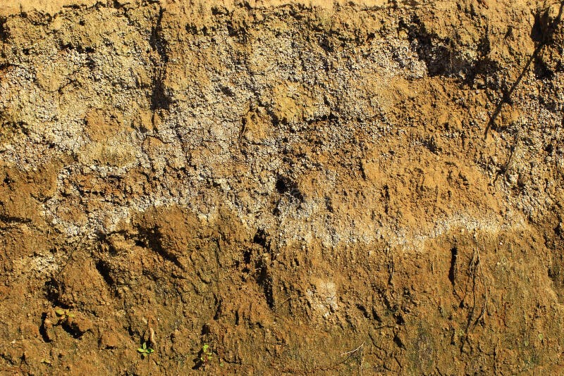 Texture Vertical Slice of Soil-sandy Soil Stock Image - Image of ...