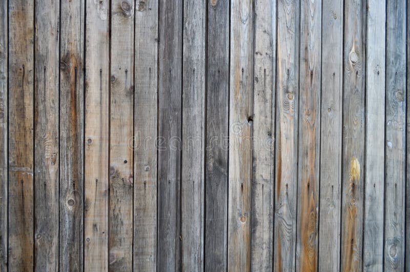 Texture of Vertical Wood Plank Stock Photo - Image of board, pattern ...