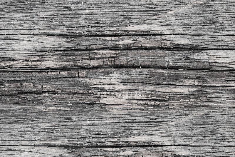 Texture of Very Old Decayed Wooden Boards with Natural Pattern, Stock ...