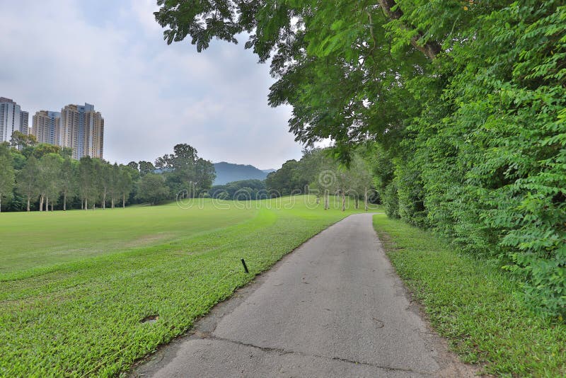Texture of Walk Way and Green Field Stock Photo - Image of meadow ...