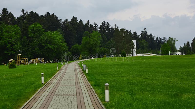 A Texture of Walk Way and Green Field Stock Photo - Image of field ...