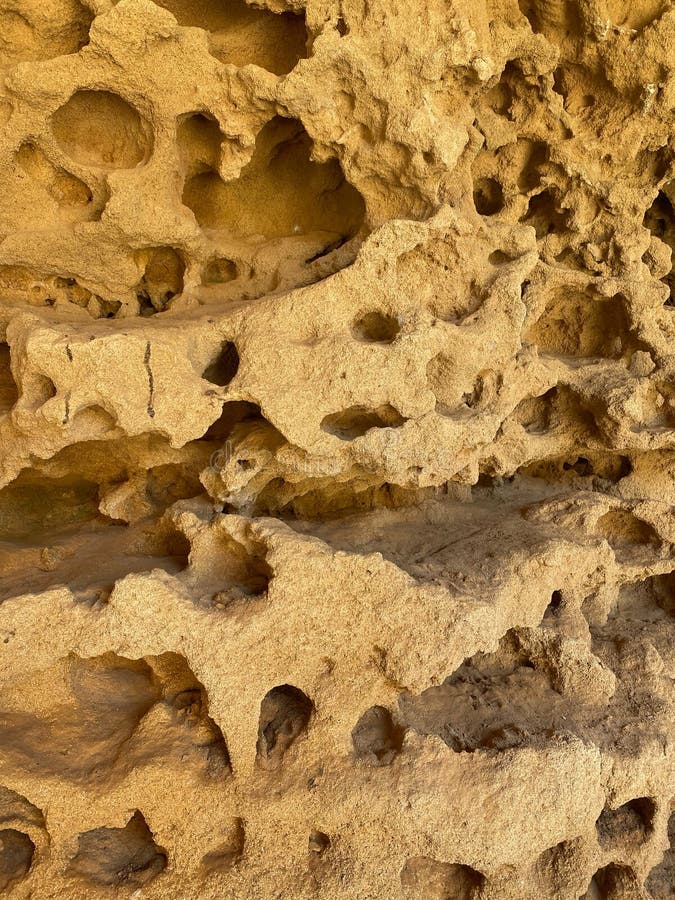 The Texture of a Wall of Loose Sandy Stone Covered with Small Craters ...