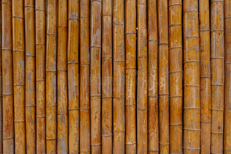 Texture of a Wall Made of Bamboo Trunks Stock Photo - Image of texture ...