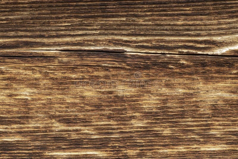 Texture of a Wall Made of Sun-bleached Wood Stock Image - Image of ...