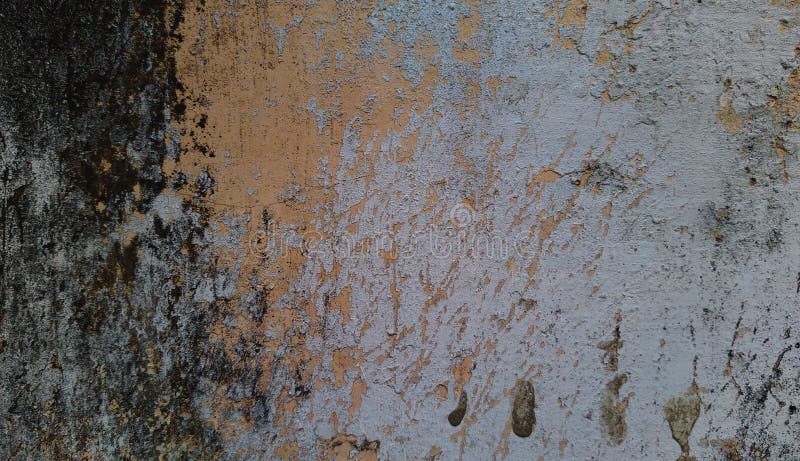 Texture from a Wall in Outside. Stock Photo - Image of abstract, trunk ...