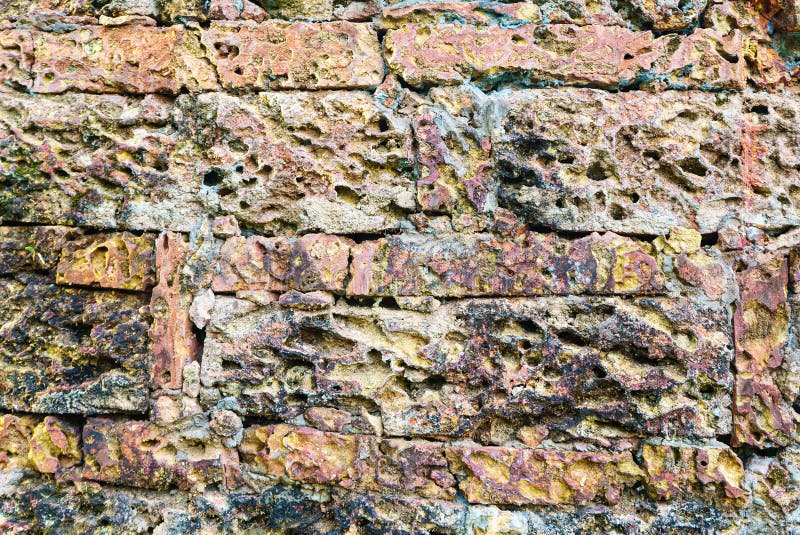 Texture of the Wall with Shell Material Stock Photo - Image of ...