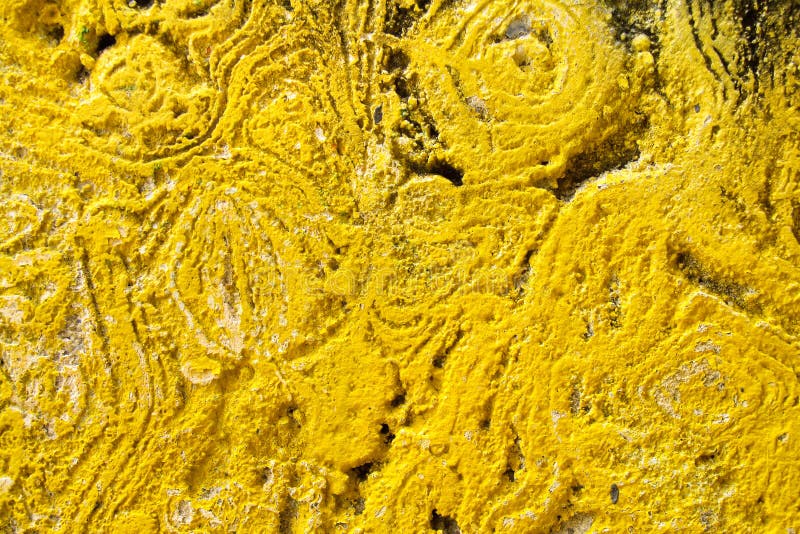 The form of life stock photo. Image of concept, surface - 112957040