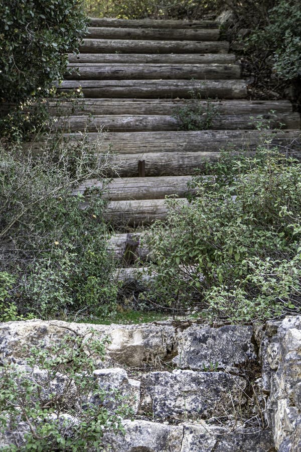 Texture of Wall Surface Made of Unevenly Cut Jerusalem Stones. Stock ...