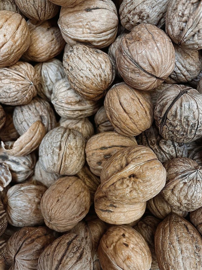 Texture of walnut stock image. Image of tasty, produce - 273173799