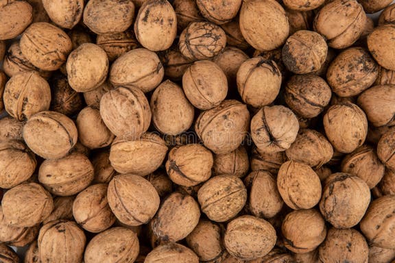 The Texture of Walnuts - Close-up of Walnuts in the Shell Stock Photo ...