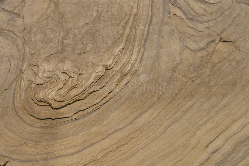 Rock wavy texture stock photo. Image of macro, element - 130036306