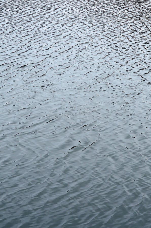 The Texture of the Water in the River Under the Influence of Wind. a ...