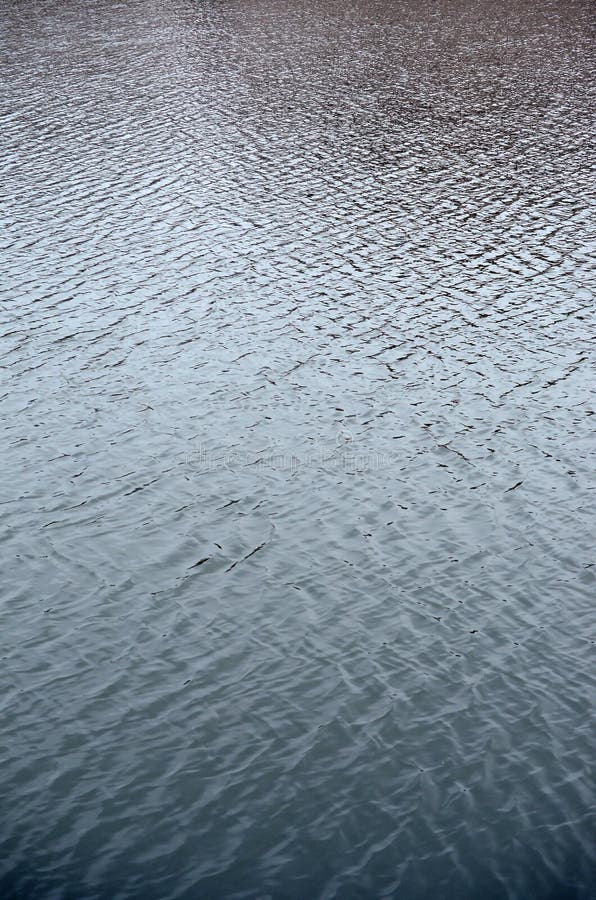 The Texture of the Water in the River Under the Influence of Wind. a ...