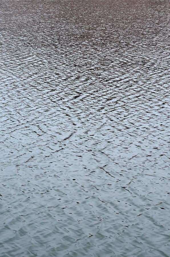 The Texture of the Water in the River Under the Influence of Wind. a ...